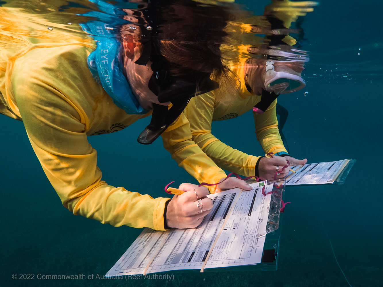 Online Services | Reef Authority